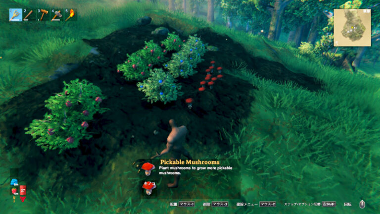 【ConoHa for GAME】Valheimサーバーの設定変更とmodのインストール方法 | 小銭スト